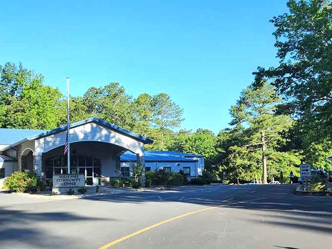 Community centers nestled in green spaces remind us that gathering places still matter in modern life.