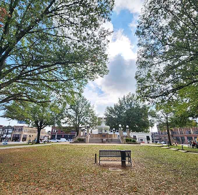 Towering trees frame this peaceful plaza where benches invite you to sit and watch life unfold.