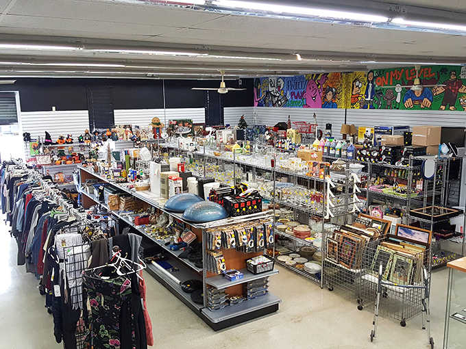 Colorful murals and packed shelves create a visual feast that makes browsing feel like an adventure.