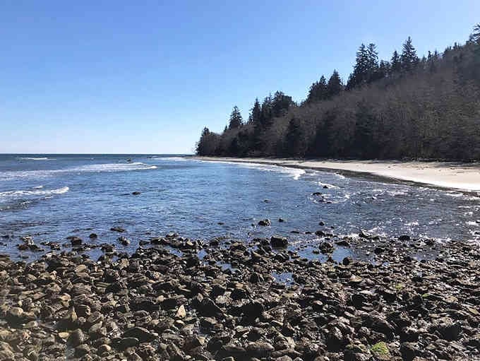 Rocky beaches meeting evergreen forests &ndash; the Olympic Peninsula shows you nature's dramatic side in one perfect frame.