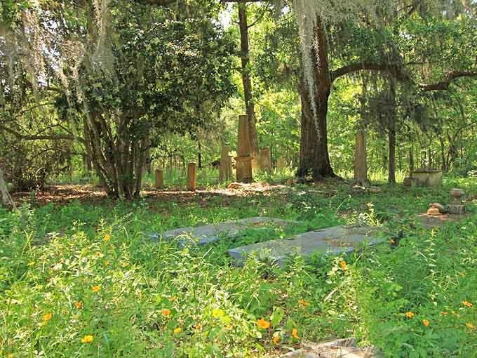 Wildflowers reclaim the earth each spring, painting hope across ground that holds centuries of untold stories.