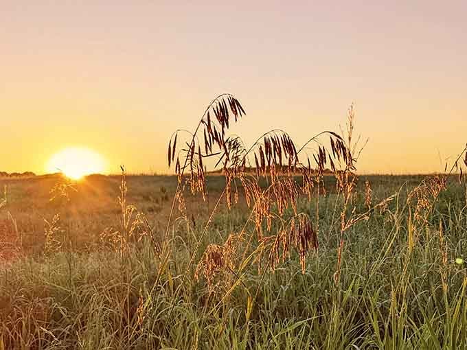 Golden hour on the prairie hits different when there's not a billboard or strip mall in sight.