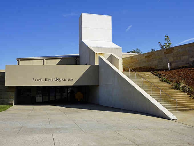 The Flint RiverQuarium's modern design houses aquatic wonders that'll surprise you every single visit.