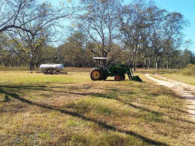 Sometimes the best views in Georgia don't require hiking boots, just a willingness to explore the countryside around Americus.