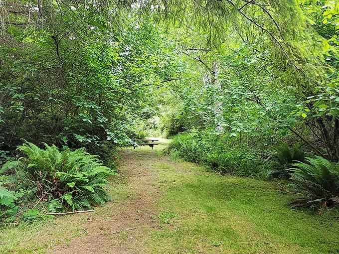Forest trails so lush and green, even your GPS might suggest you've accidentally wandered into a fairy tale.