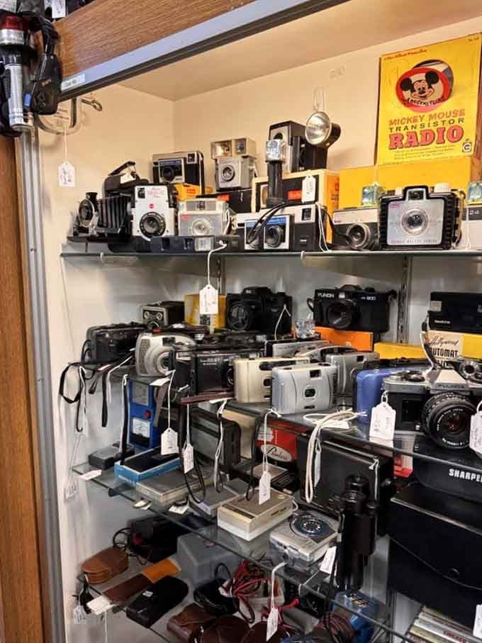 A Mickey Mouse radio watches over vintage cameras that captured memories before "delete" was even a concept.