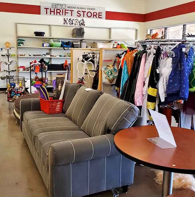 That striped vintage sofa looks ready to anchor someone's den, complete with character and stories we'll never know.