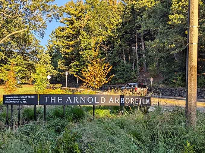 The entrance sign welcomes you to what locals have known for generations: this place is pure magic.