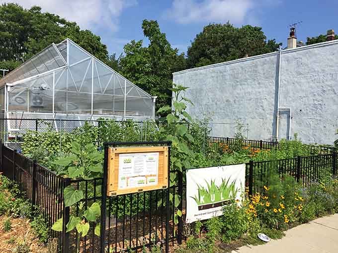 Urban farming meets coastal living in this greenhouse oasis where fresh greens grow steps from the sandy shore.