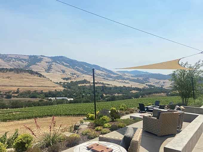 Vineyard views that make you understand why people chuck their city jobs to make wine in Southern Oregon.