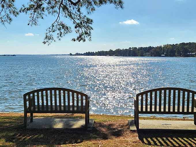 Two benches, one shimmering river, and zero reasons to check your phone for the next hour.