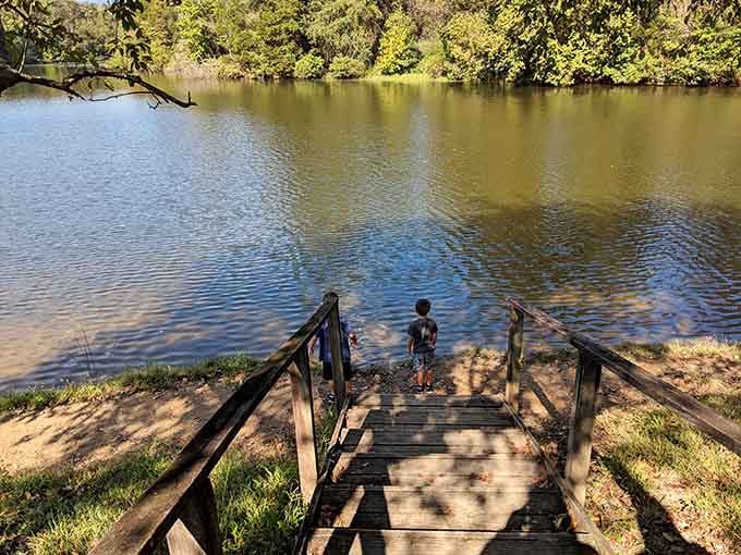 Little explorers discovering that the best adventures don't require batteries, just a wooden dock and endless curiosity.