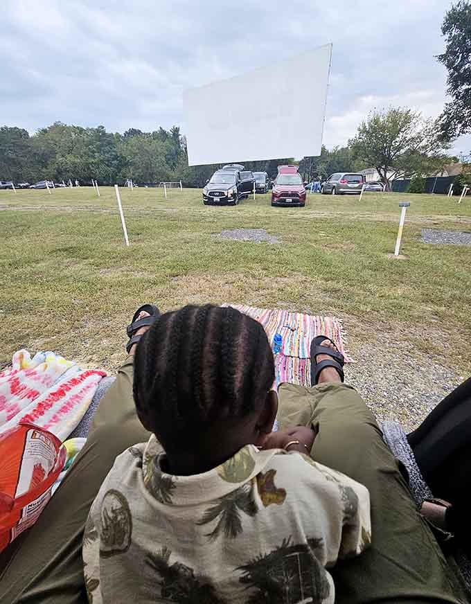 Blankets, snacks, and a perfect view from the trunk: this is luxury seating your living room could never provide.