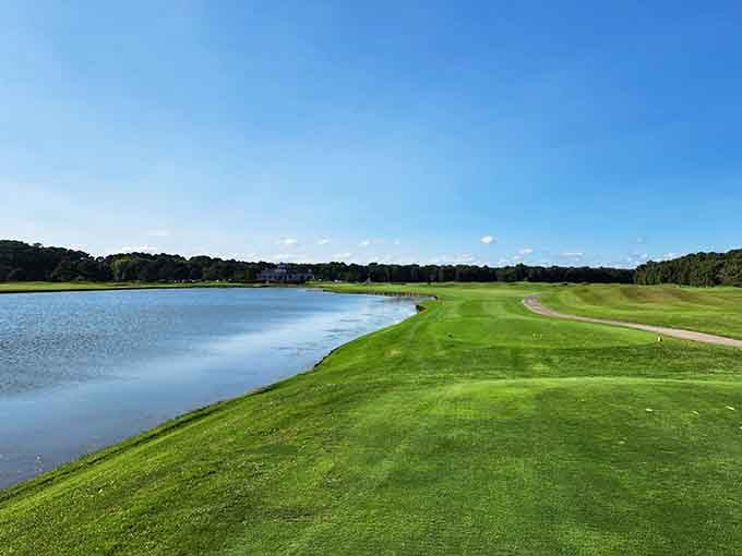 Golf with a water view beats fluorescent-lit office meetings every single time, no contest whatsoever.