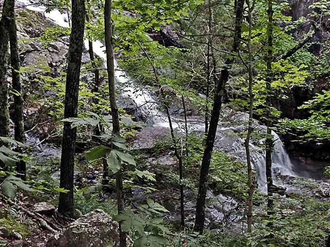 The waterfall peeks through the forest canopy, playing hide-and-seek with hikers who've earned this spectacular view.