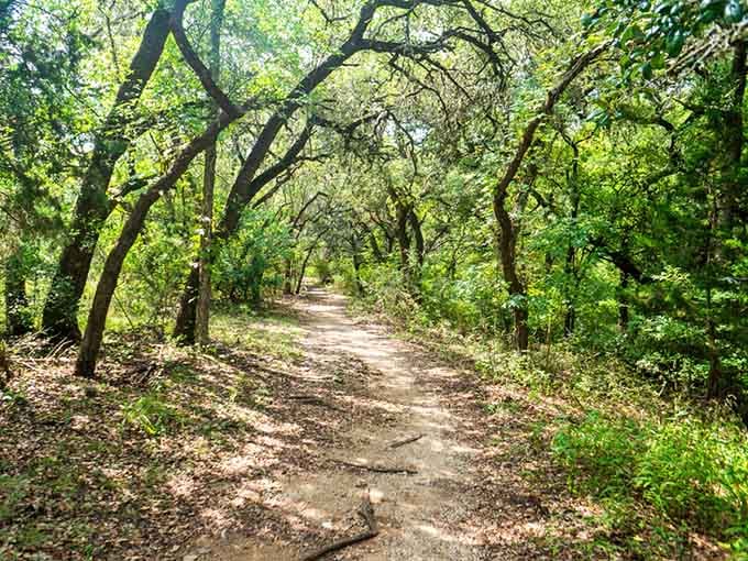 Nature trails that make you forget you're still close enough to civilization to get decent cell service.