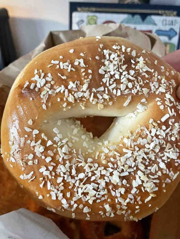 An onion bagel so generously topped, it looks like it's wearing a fancy hat to brunch.