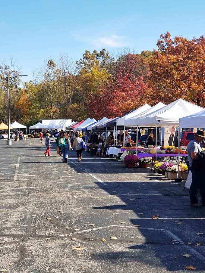 White tents lined up like a delicious parade, where every stop offers something better than the last vendor's booth.
