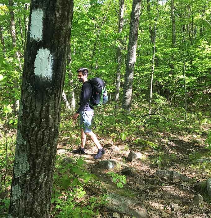 Following the blue blazes through Connecticut's forest, where getting lost would actually require some serious effort.