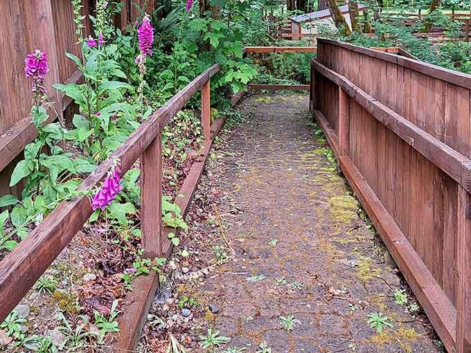 Even the footbridges here look like they've been waiting centuries for hobbits to cross them daily.