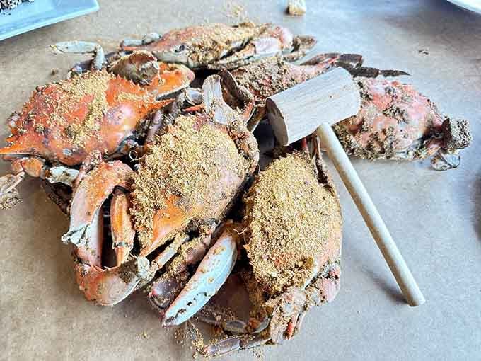 Behold the beautiful mess you're about to make, crabs so fresh they practically introduce themselves before dinner.