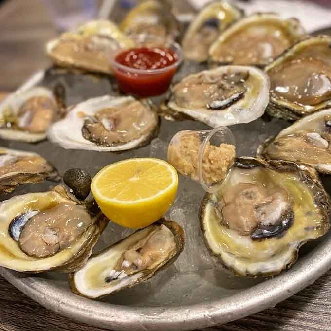 Fresh oysters on the half shell, glistening with possibility and ready to transport you straight to the coast.