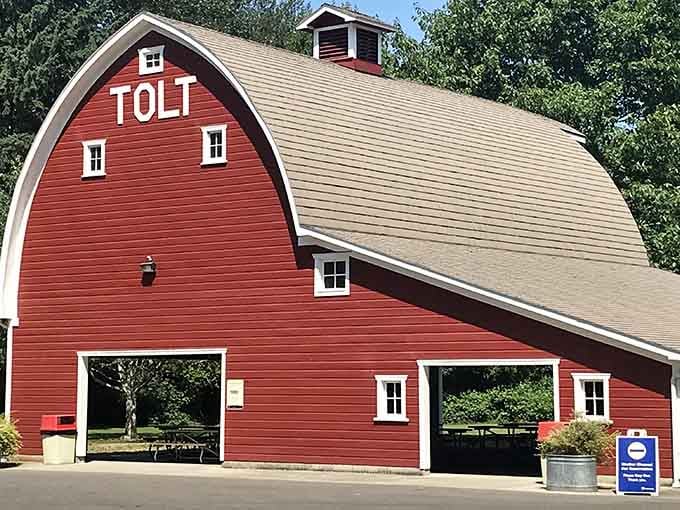 That classic red barn stands as a testament to when craftsmanship meant something that would last generations.