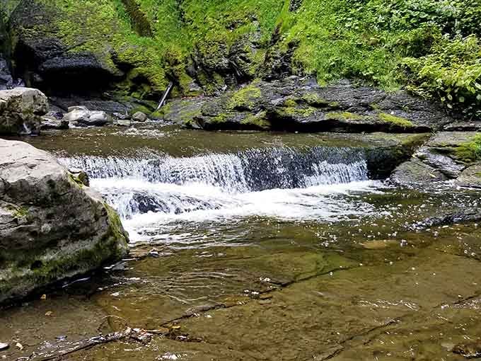 These gentle cascades are nature's way of saying not everything needs to be dramatic to be absolutely perfect.