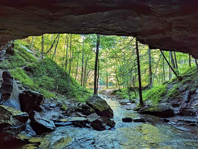 Standing inside a cave looking out at the forest feels like peeking through nature's own picture frame of perfection.