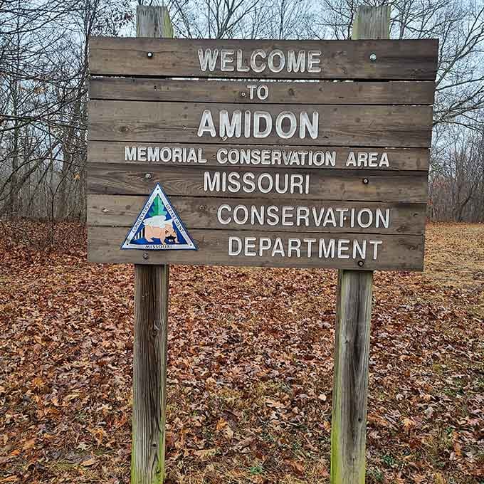 The Amidon Memorial Conservation Area welcomes you to nature's playground where adventure begins just beyond this weathered wooden sign.