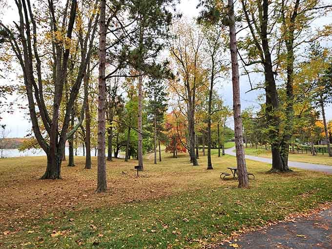 A.W. Marion State Park offers the kind of peaceful autumn scenery that makes you forget your phone exists.