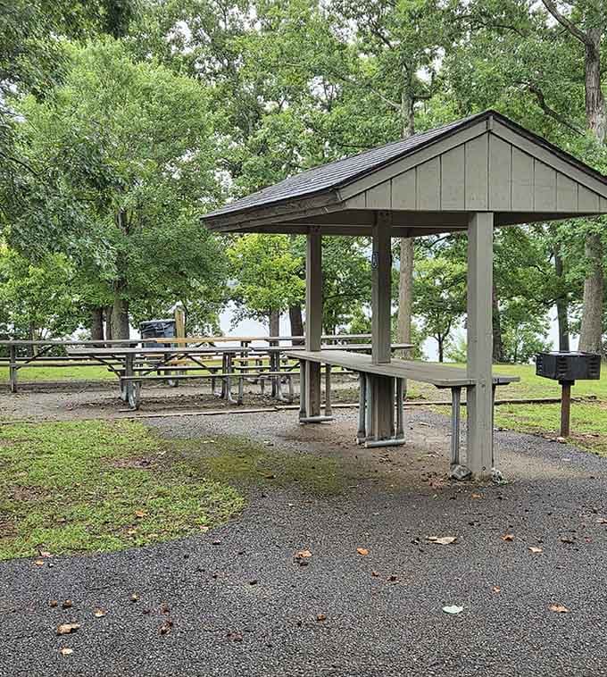 Picnic shelters with lake views prove that dining al fresco beats any restaurant with four walls.