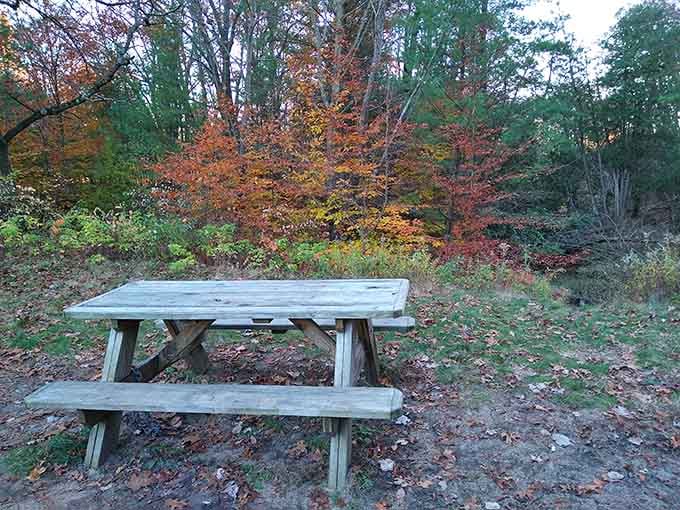 Pack a sandwich and claim this table where fall colors provide entertainment better than cable.