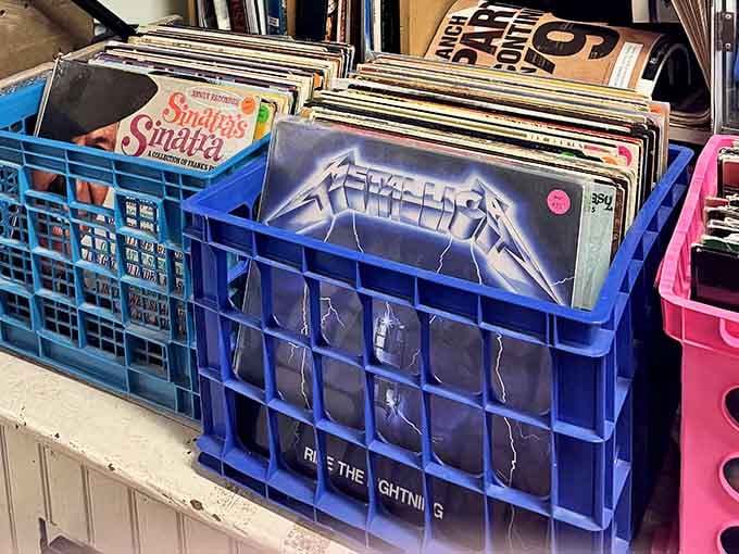 Metallica and Frank Sinatra living side by side, because vinyl doesn't judge your eclectic taste in music.