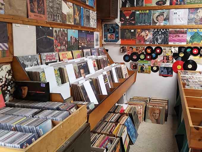 Vinyl records line the walls like edible arrangements for music lovers who remember when albums mattered.