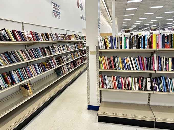 Rows of literary adventures waiting for readers who appreciate a good story without the hardcover price tag.