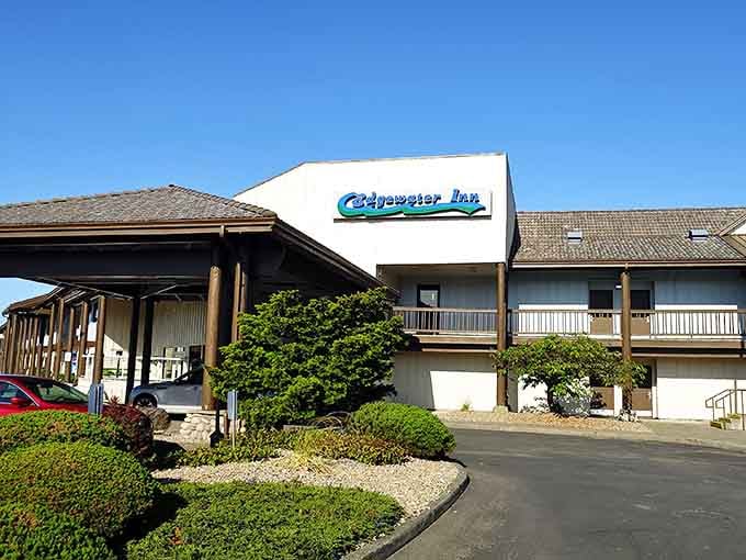 The Edgewater Inn proves you don't need to spend a fortune for waterfront accommodations that actually deliver on comfort.