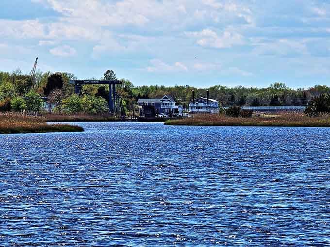 From the water, civilization feels wonderfully distant, just marshland, sky, and the kind of quiet you forgot existed.