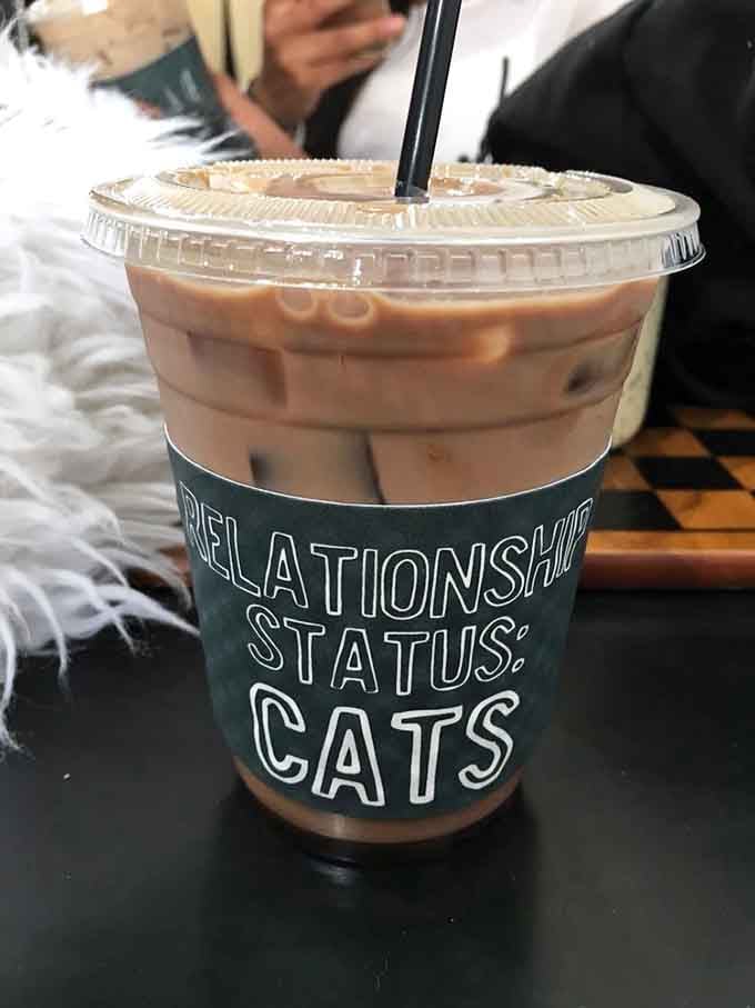 "Relationship Status: Cats" never looked so good on a cup, especially when filled with perfectly iced coffee perfection.