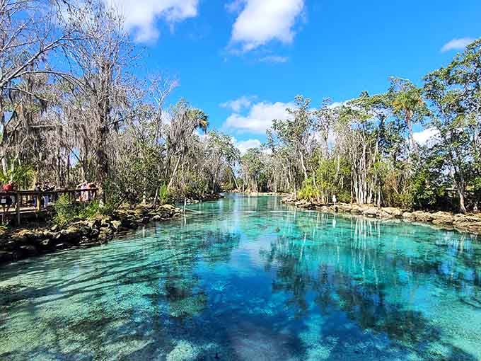 Three Sisters Springs glows turquoise year-round, making you question why anyone pays for a Caribbean vacation instead.