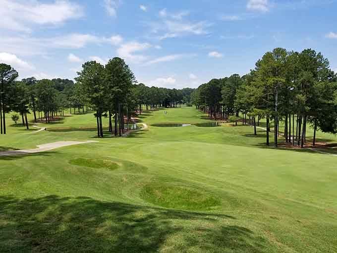Rolling greens stretch between towering pines, offering golfers views that might distract from their swing entirely.