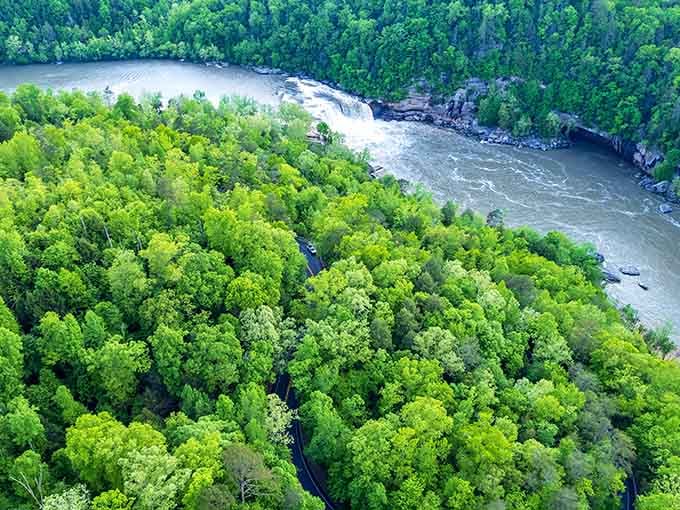 From above, the Cumberland River snakes through endless green forest like a silver ribbon through wrapping paper on Christmas morning.