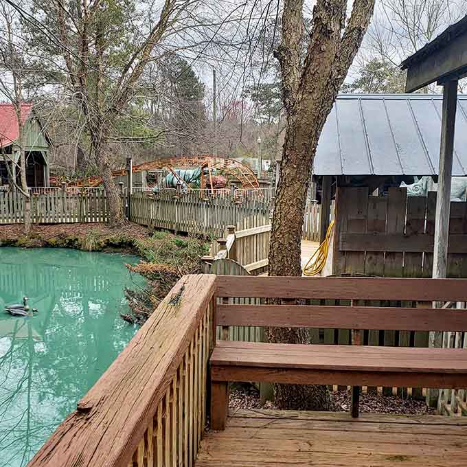 That turquoise water isn't a mirage, it's just North Carolina showing off its unexpected Western flair.