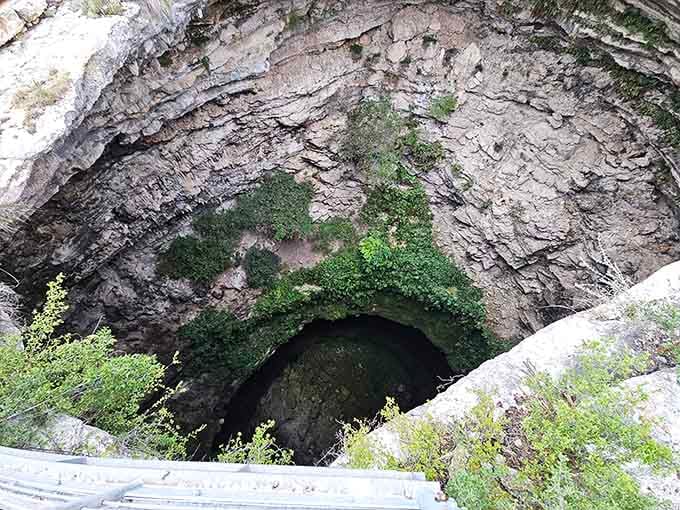 Peering into the sinkhole reveals layers of limestone that took millennia to form and seconds to make you feel wonderfully insignificant.