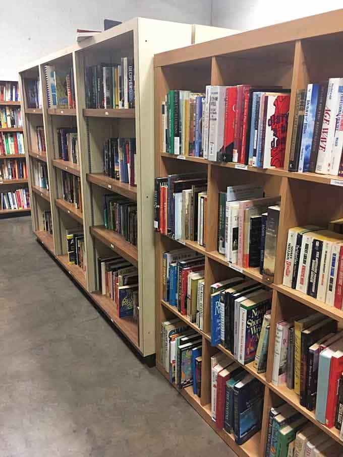 Rows of books waiting patiently for readers who appreciate a good story without the new-book markup.