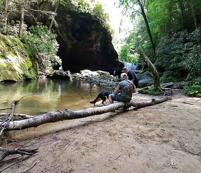 When the whole family finds that perfect spot by the creek, phones forgotten and nature remembered.