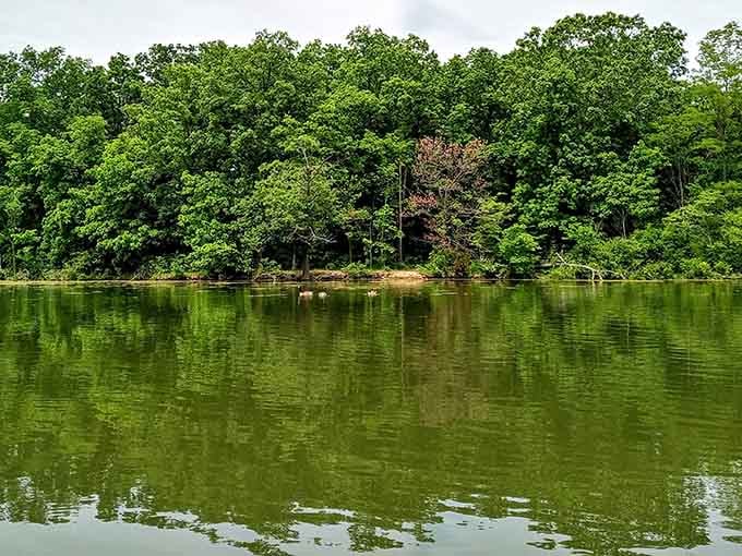 Kunkel Lake on a perfect day, proving that Indiana's natural beauty doesn't need any filters or fancy editing.
