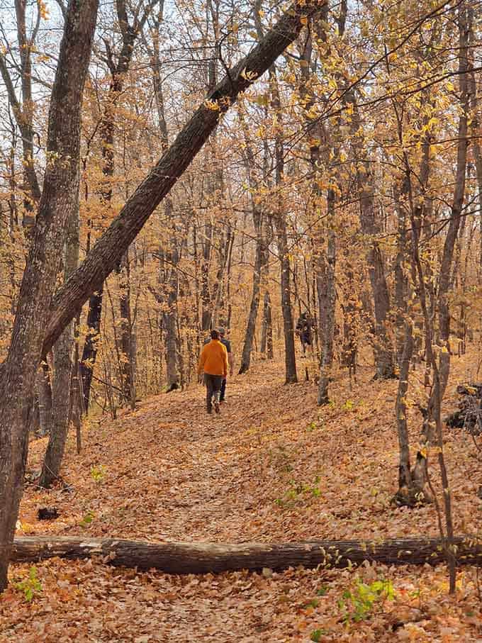 Autumn trails that look like they were painted by someone who really understood the assignment.