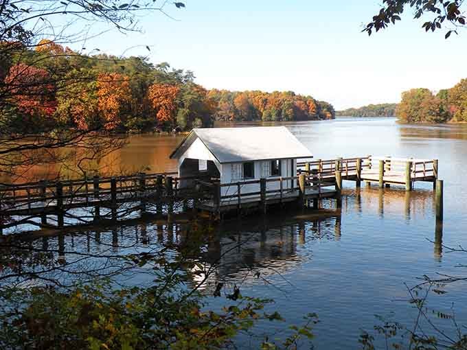Autumn colors frame the waterfront like nature decided to show off for the photographers, and honestly, who can blame her?