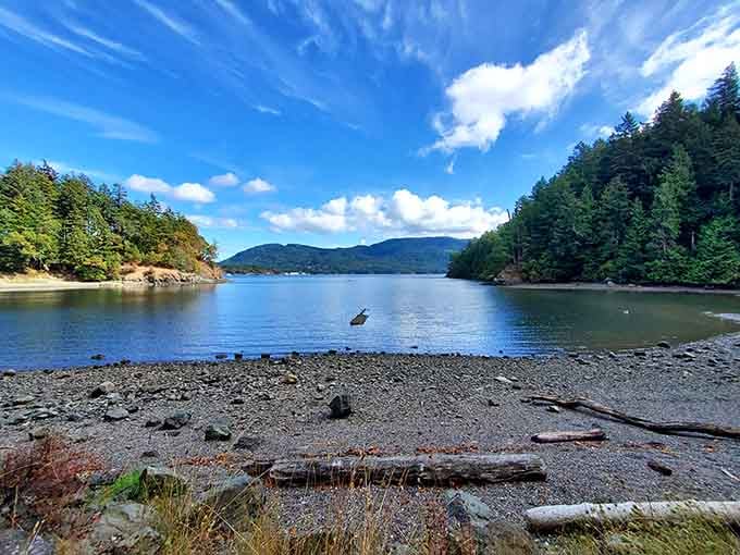 Judd Cove's rocky beach offers views so stunning you'll forget to check your phone for entire minutes.